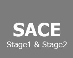 SACE: Italian (Beginners) - TheAllPapers